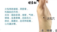 艾灸针灸取穴-大包穴