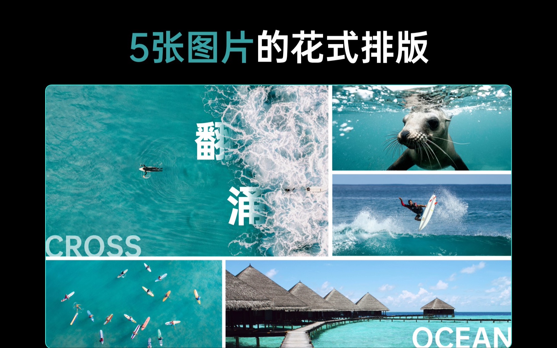 PPT图片排版太单调?教你用5张图片花式多样排版,超实用~