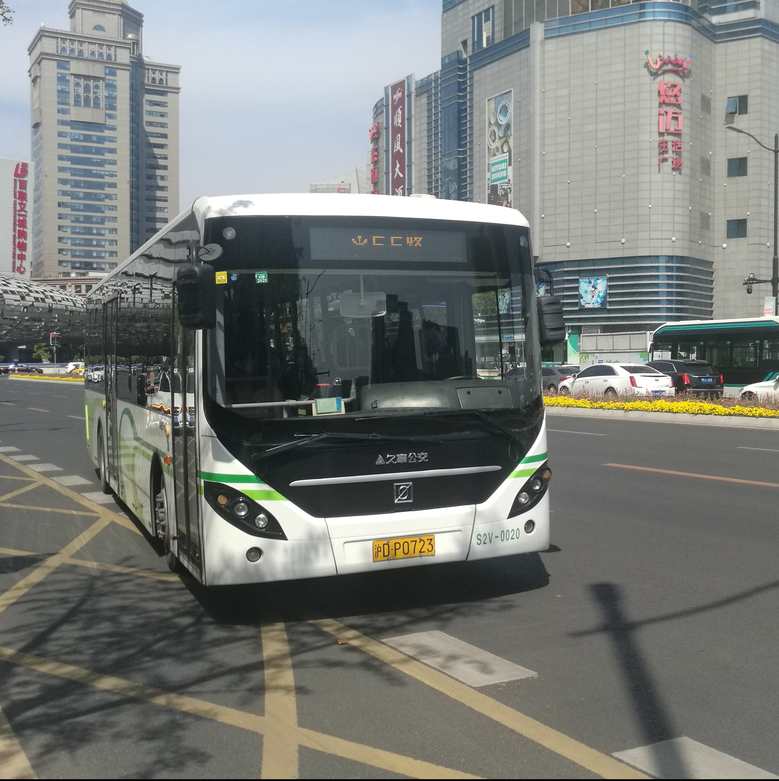 -某屑热带鱼- 