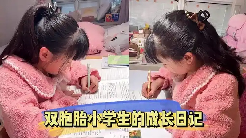 双胞胎小学生的成长日记,周末不只写作业,还有更有意义的事