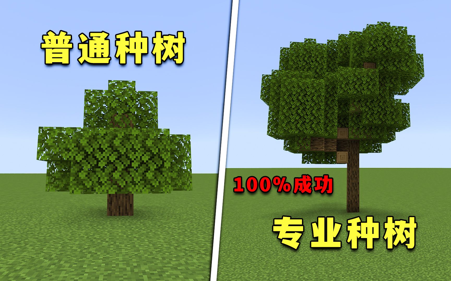 我的世界:你真的知道怎么种树吗?4个进阶隐藏特性