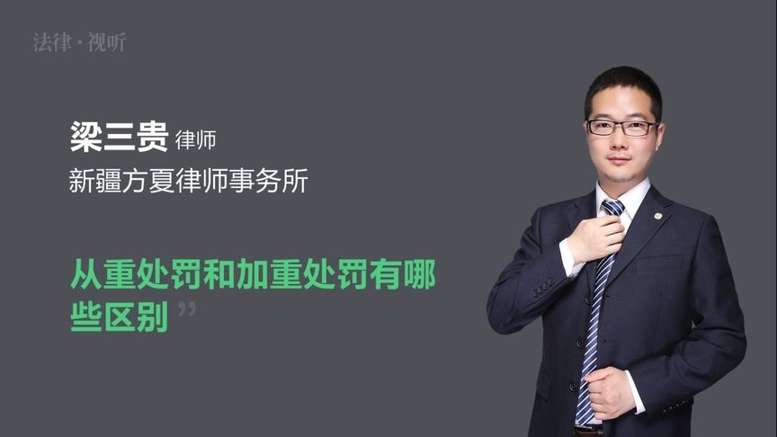 从重处罚和加重处罚有哪些区别