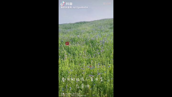 做生态环境修复我是认真