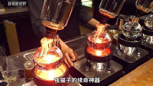 一粒咖啡豆,如何从种子走向杯子?