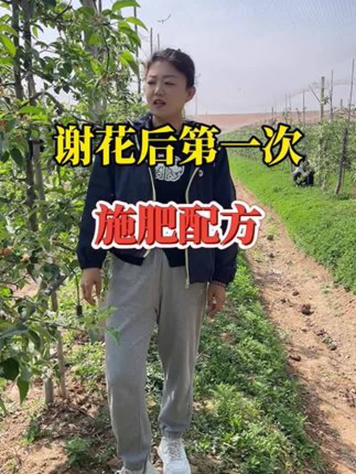 谢花后第一次施肥决定果实的大小
