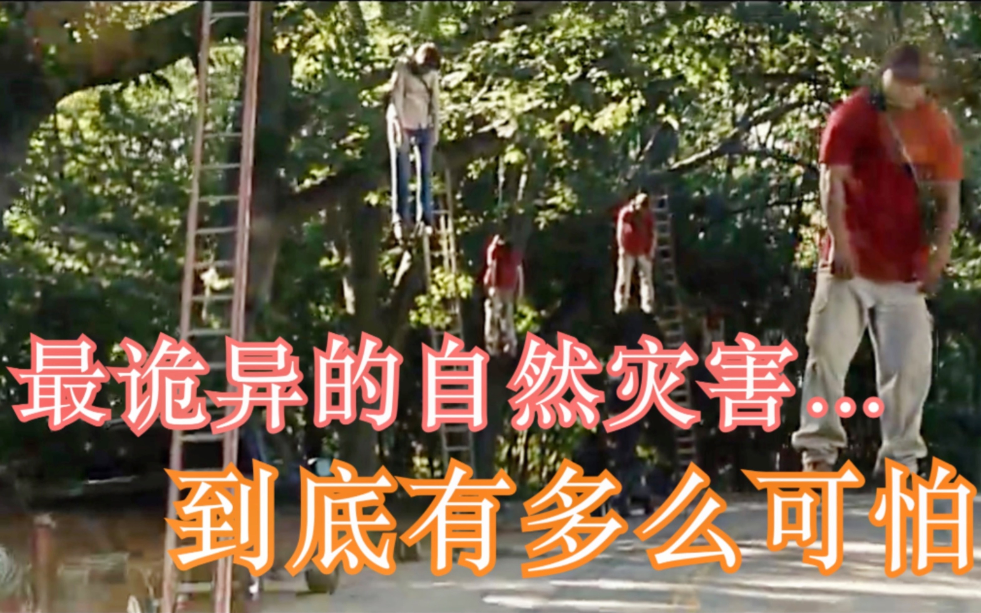 你看过最诡异的自然灾害是什么?地震、火灾、海啸,都不够诡异