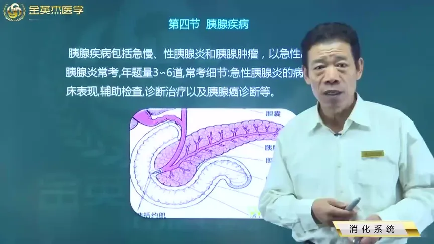 消化系统16胰腺疾病:胰腺的构成跟作用,跟十二指肠的关系