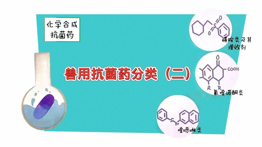 兽用抗菌药分类你知道吗?(二)