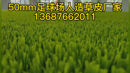 50mm单丝人造草(最新介绍)单丝人造草指的是草纤维的形状,单丝人造...