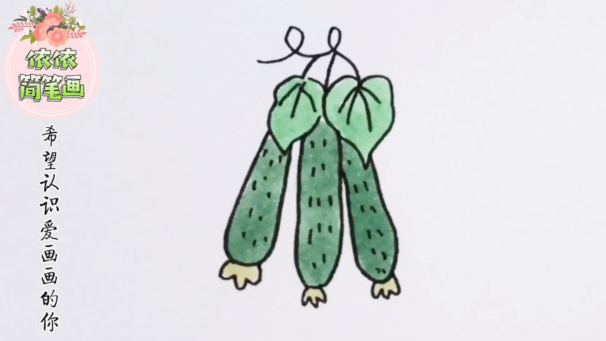 每日更新的简笔画 黄瓜三胞胎 你知道吗黄瓜是长在藤蔓上的