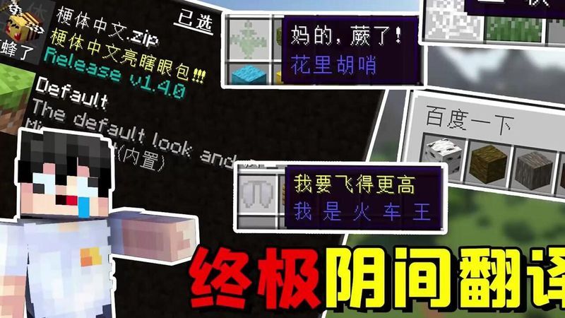 我的世界:最阴间的翻译模组,里面有多少梗是你认识的!