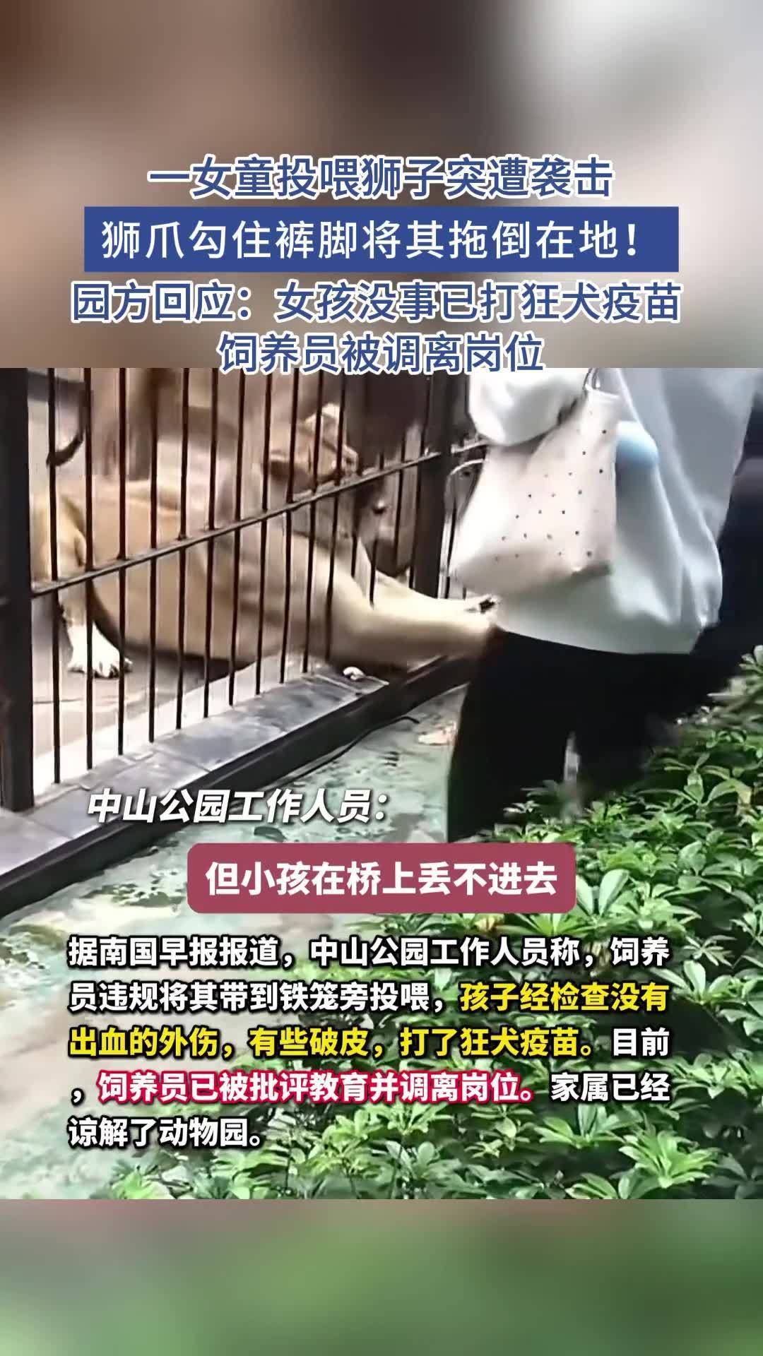 惊魂28秒 女孩喂狮子被隔栏抓腿