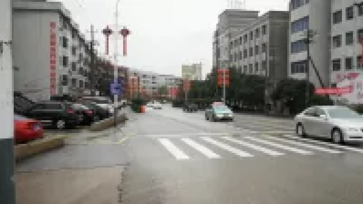 春节随拍视频大全 街拍视频