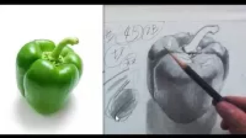 素描零基础入门小白该如何用线条表现出质感?排线方向有些什么讲究?