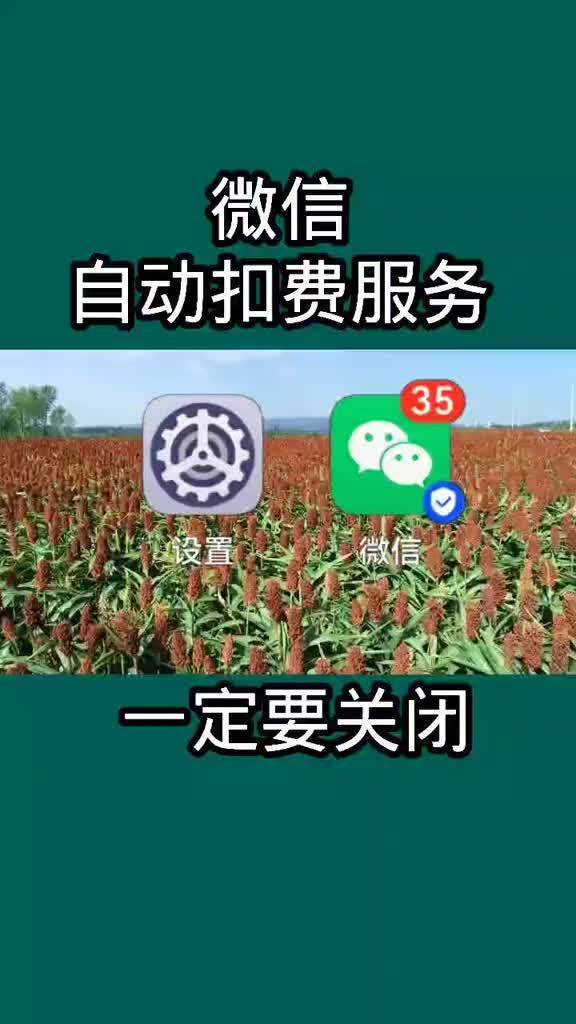 微信自动扣费服务,一定要关闭!