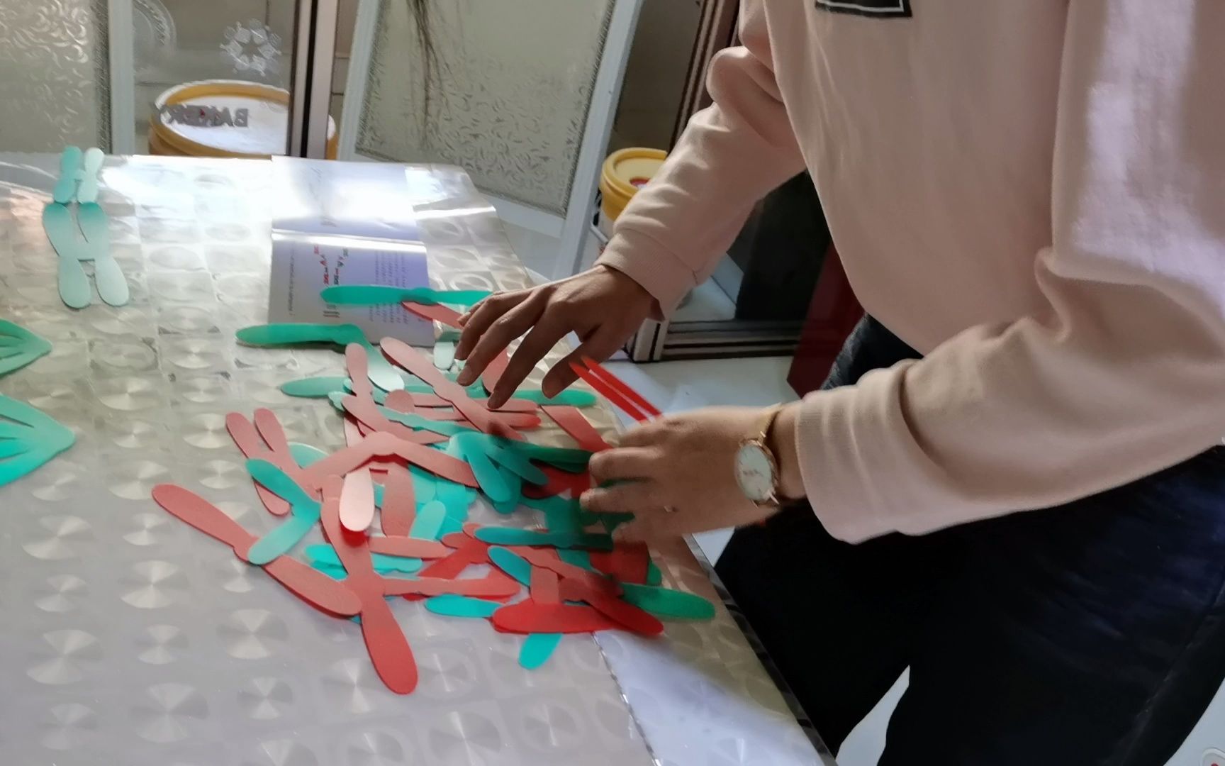 王恒教育:2022-01-28高三学生模拟细胞分裂过程中染色体的数目和...