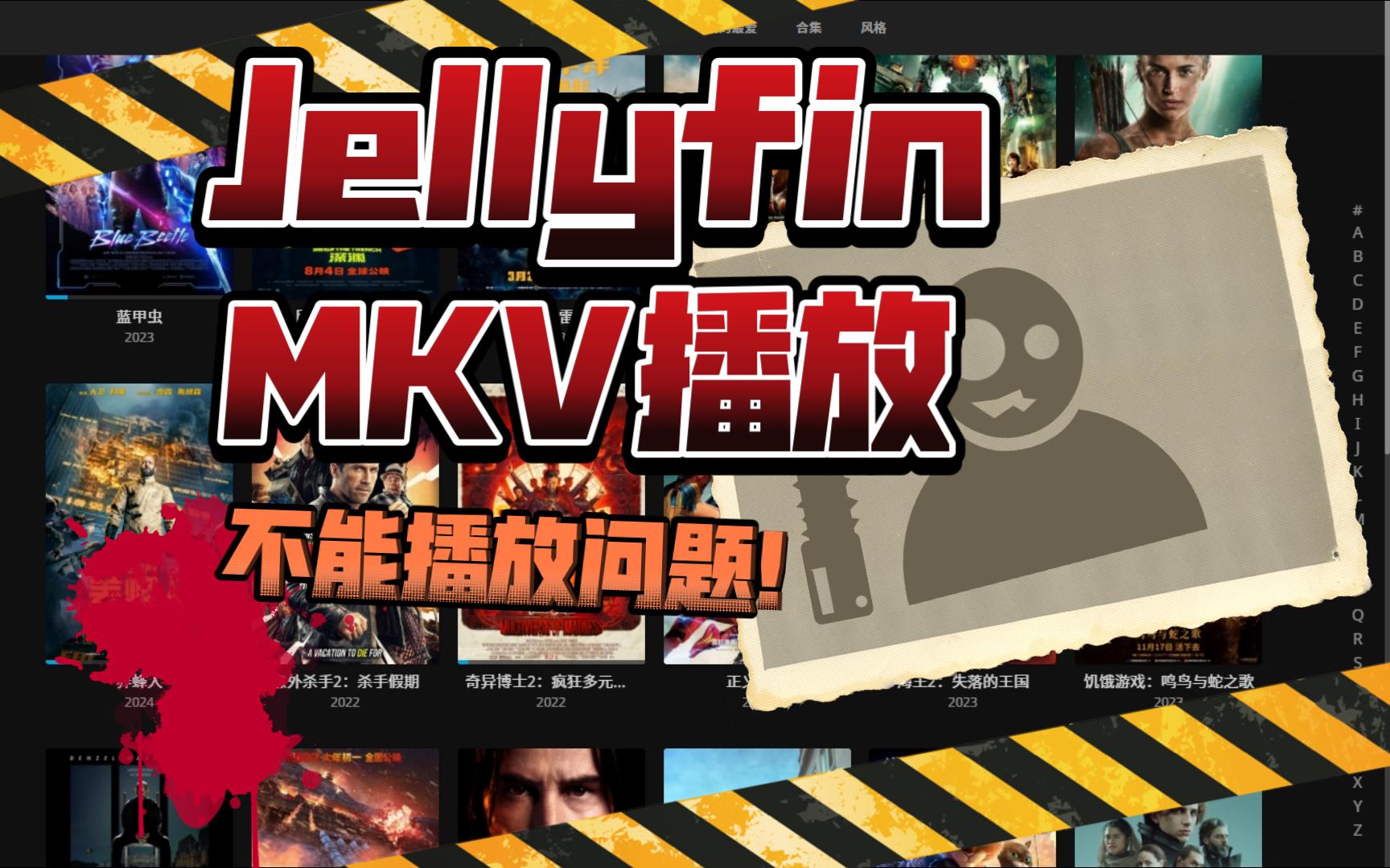第五集黑群晖nas+jellyfin(影音库搭建)MKV格式播放、小白新手入门教程!