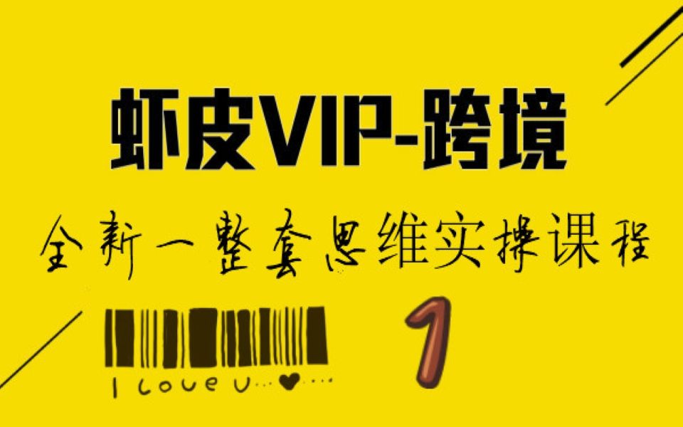 【shopee虾皮VIP实操课】从入门到精通全套实战操作01-初识虾皮