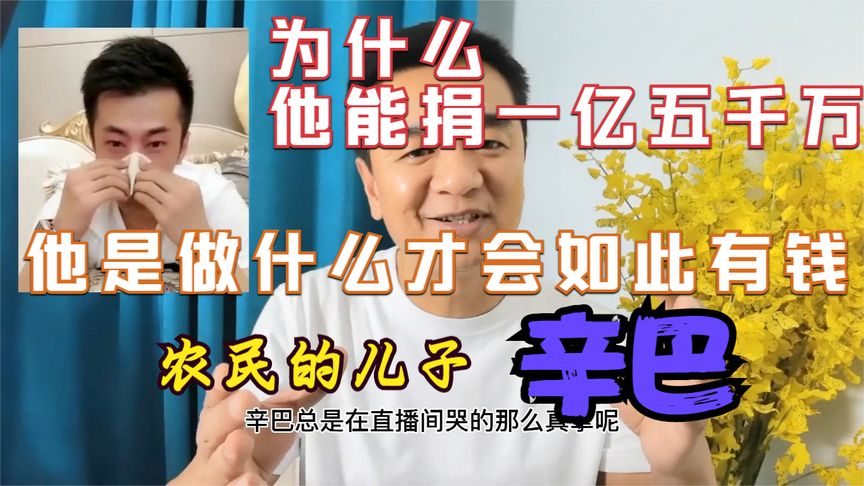 辛巴为什么捐了一亿五千万？捐款真的可以抵税吗？