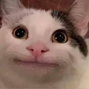 RESSOAPX 
