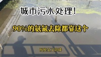 城市污水处理!90%的氨氮去除都靠这个,脱氮除磷也有高标准