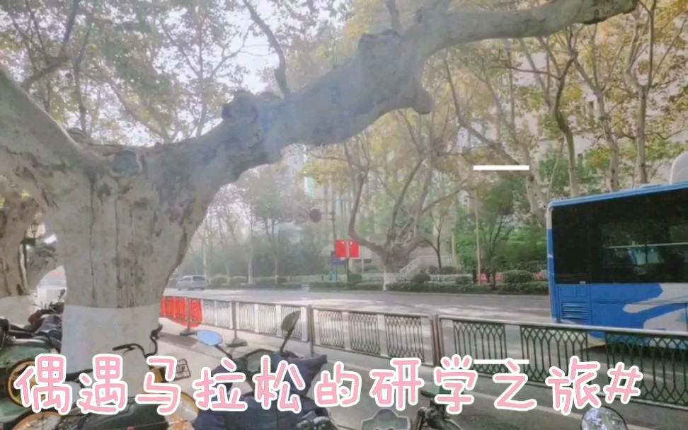 【南京研学vlog】3天2晚南京行 社会实践&研究课题 高中生如何面对 ...