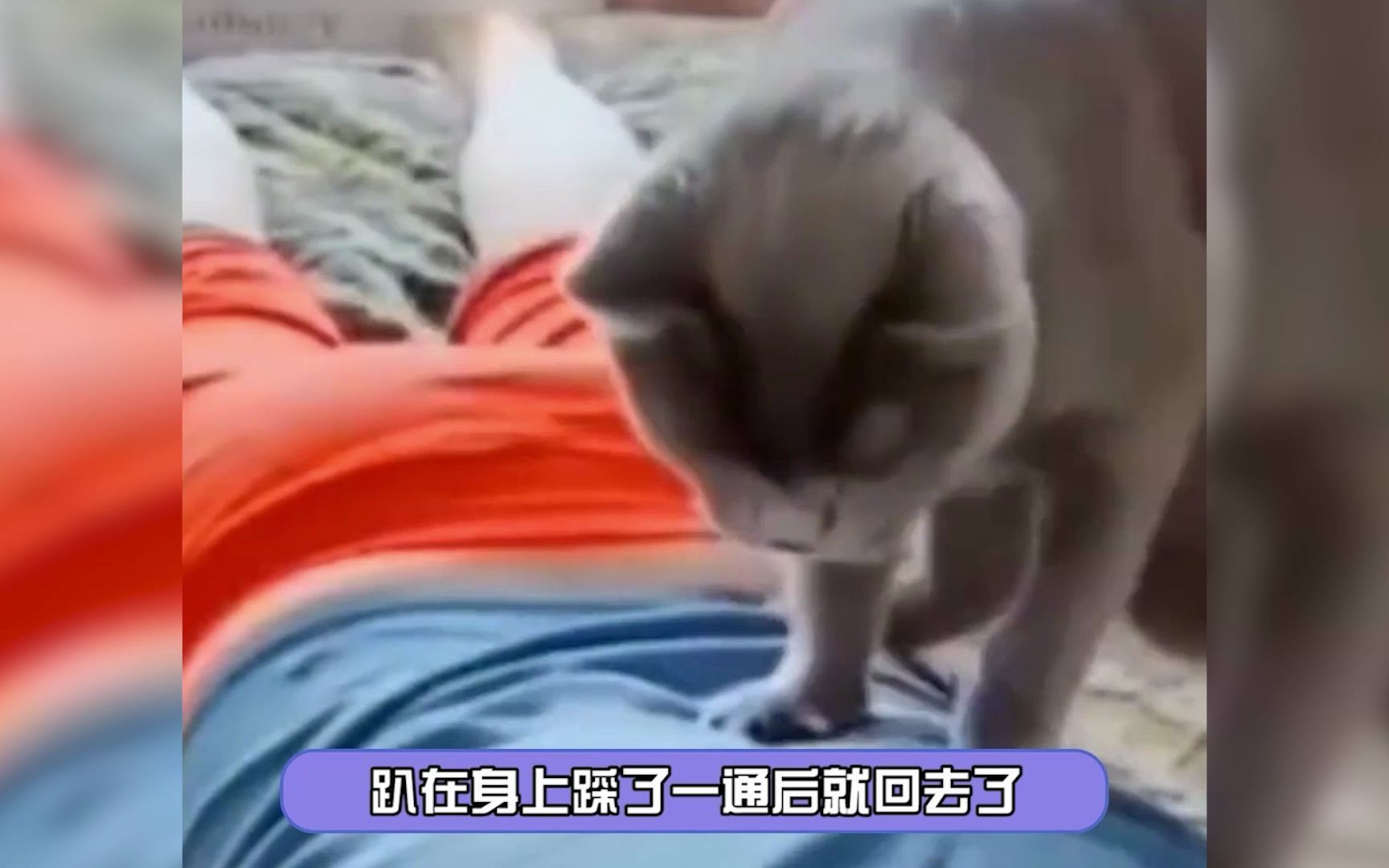 日本小旅馆的特色服务