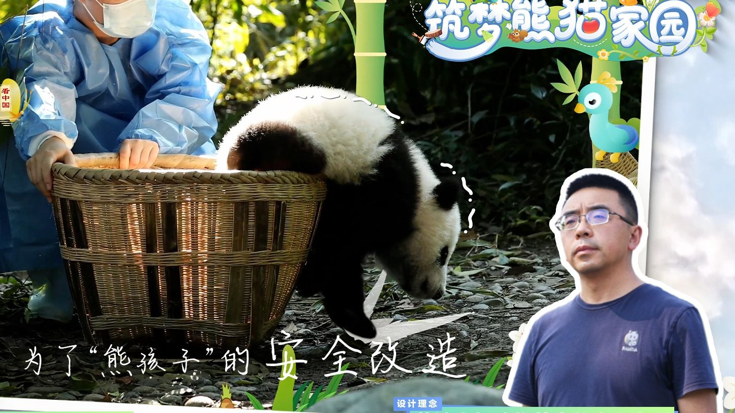 第三集:爱心护航!为了“熊孩子”的安全改造|《筑梦熊猫家园》