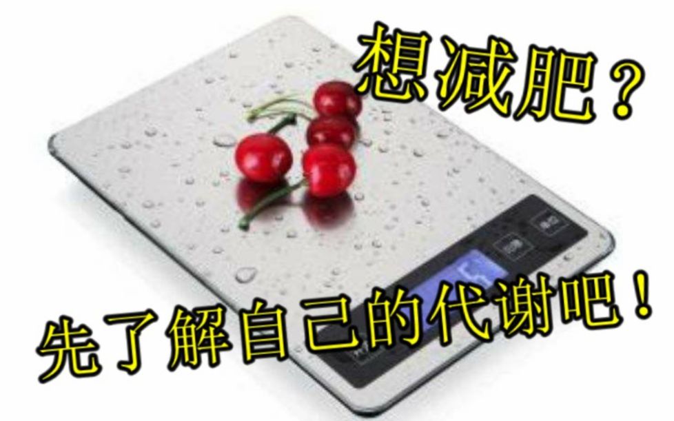 还不清楚每天消耗了多少热量?教你用计算器轻松解决