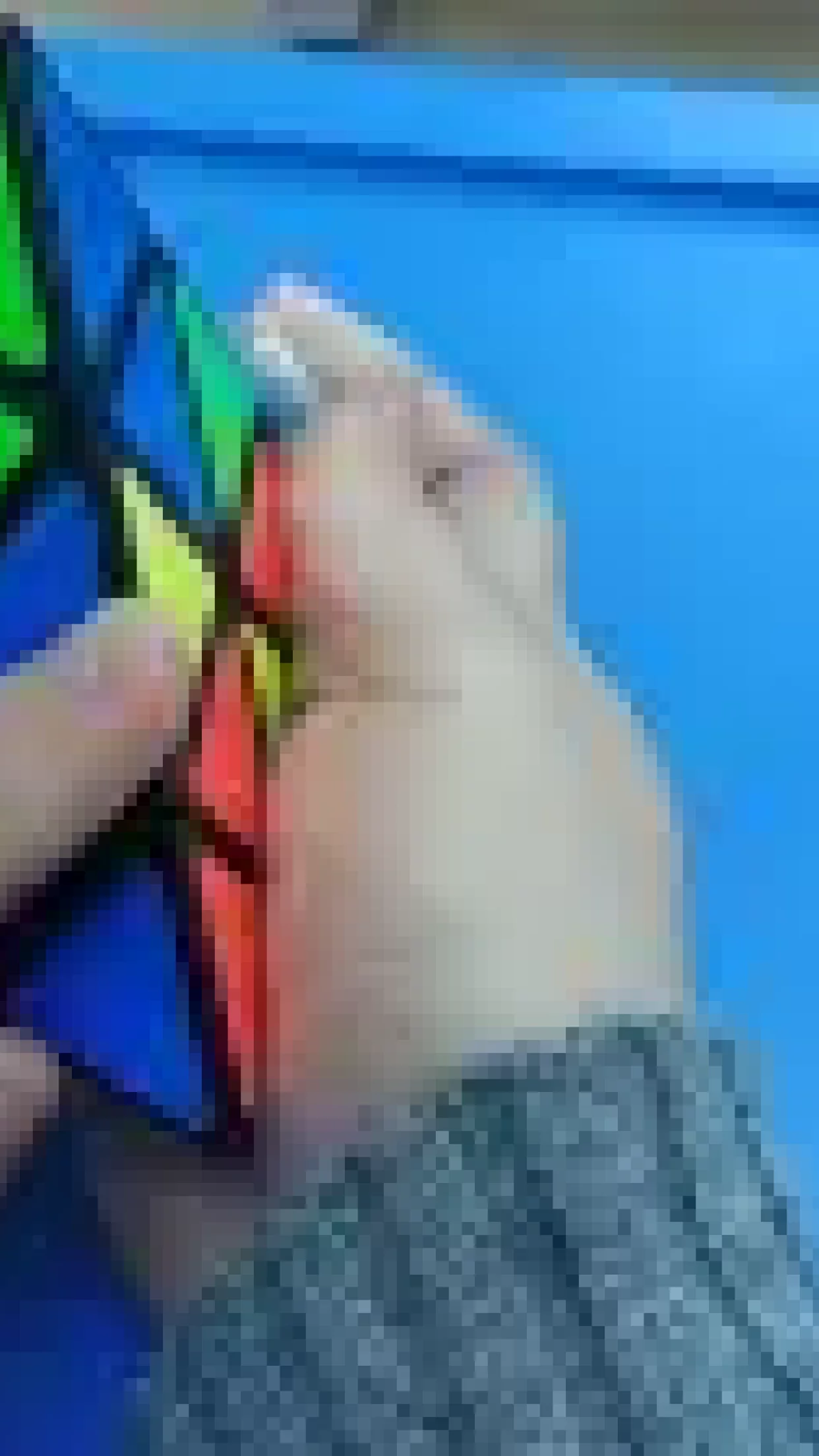 三角魔方教程:第三步 拼好黄面加围脖