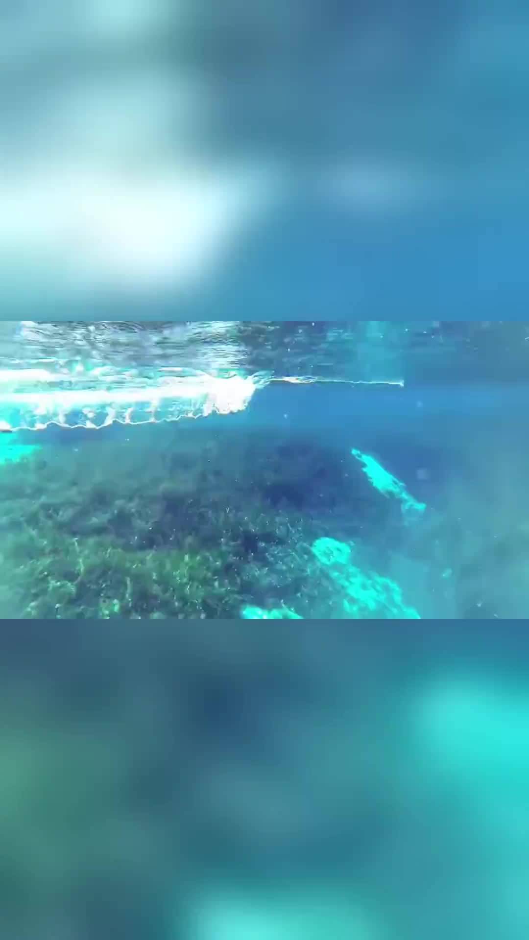 撒网捕鱼,古老的智慧和技艺,它的捕捞原理又是怎样的?