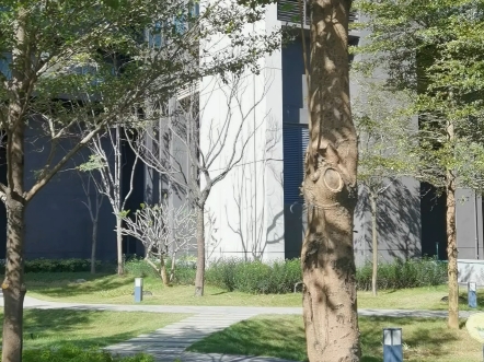 深圳回迁房统建楼光明大学城中山大学旁统建楼花园商品房住宅