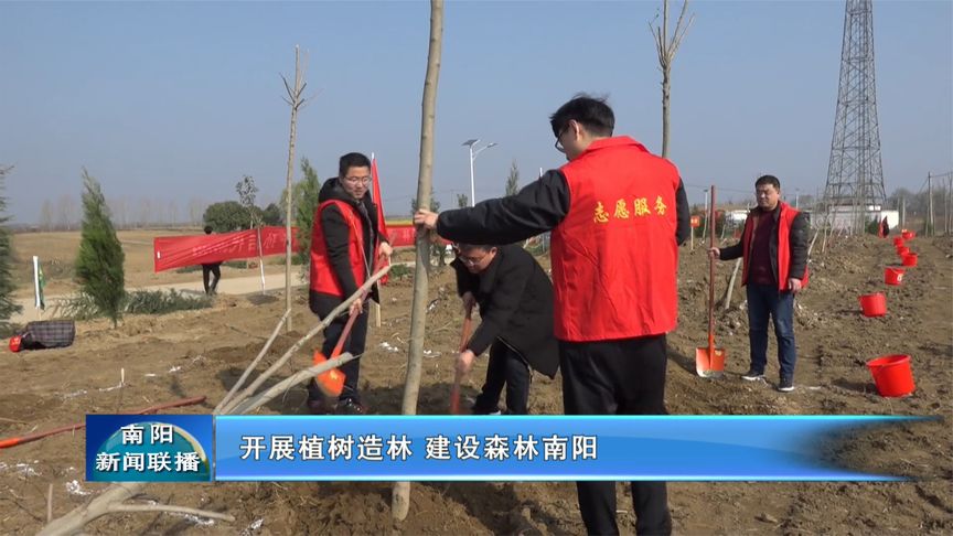 开展植树造林 建设森林南阳