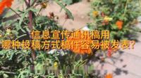 信息宣传通讯稿用哪种投稿方式稿件容易被发表?