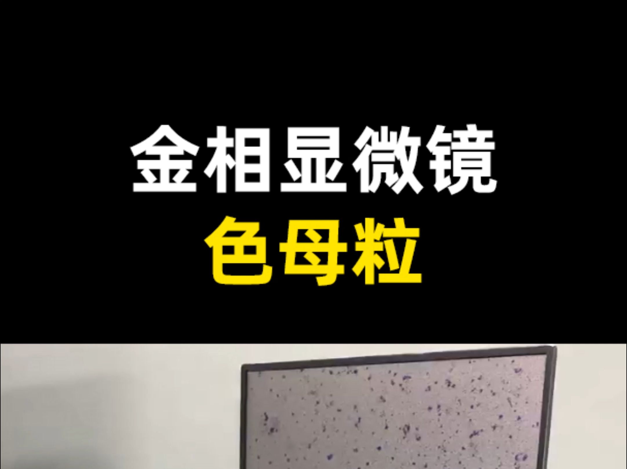金相显微镜观察色母粒
