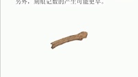 计数的数学史微课