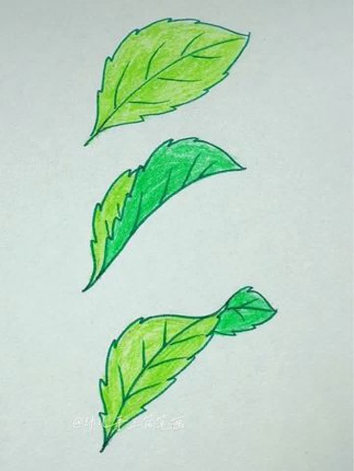 三条弧线教你画不同角度的树叶 #简笔画 #儿童画 #简易花草画法 #...