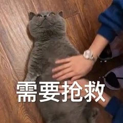 没事儿就爱叨叨 