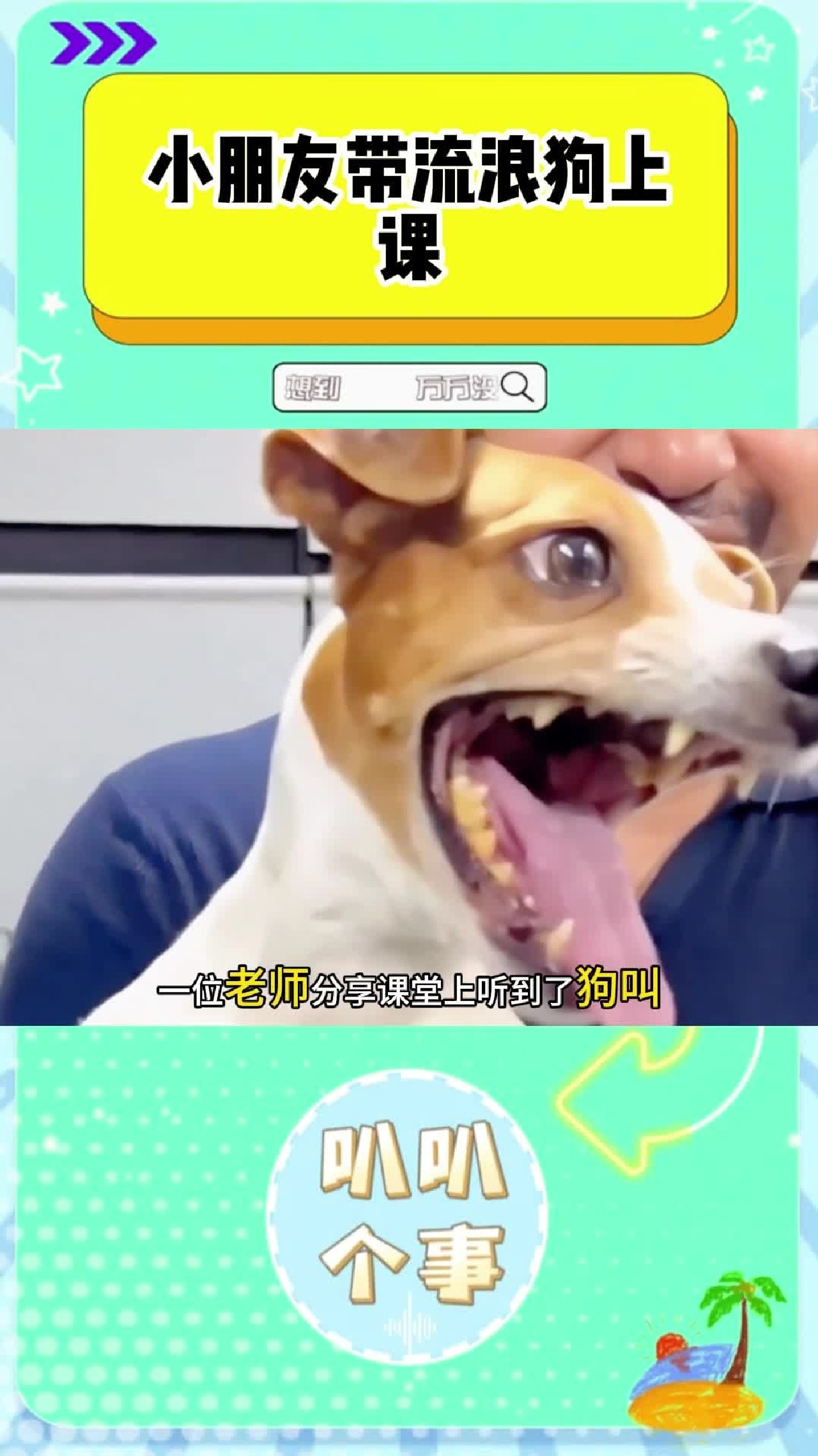 小男孩悄悄带着流浪狗上课被老师发现