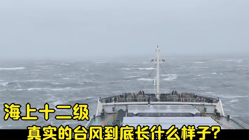 海上真实的十二级风,到底长什么样子?船员的工作日常