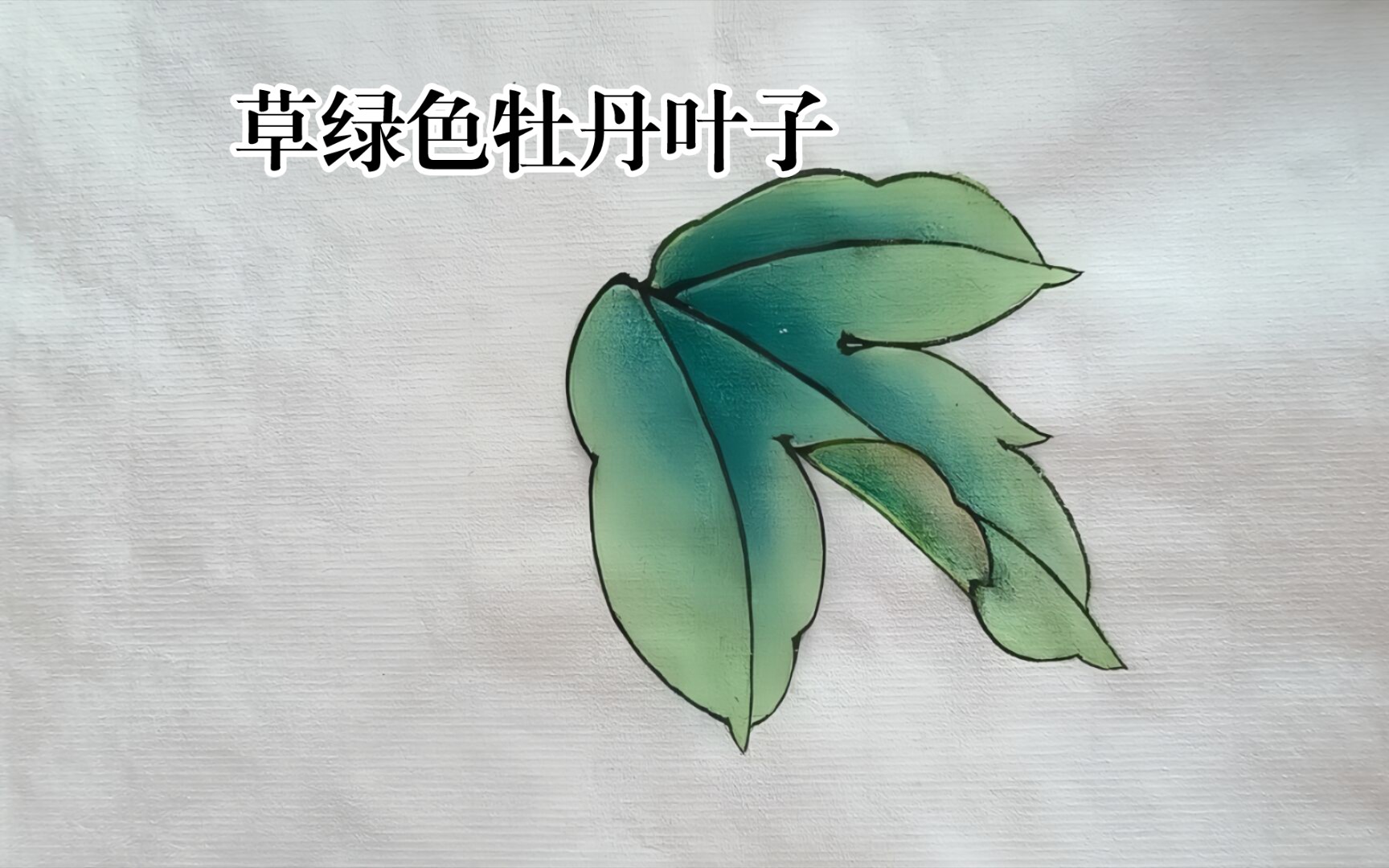 新手必学的染色技巧,国画工笔草绿色牡丹叶子,画法要点入门教程