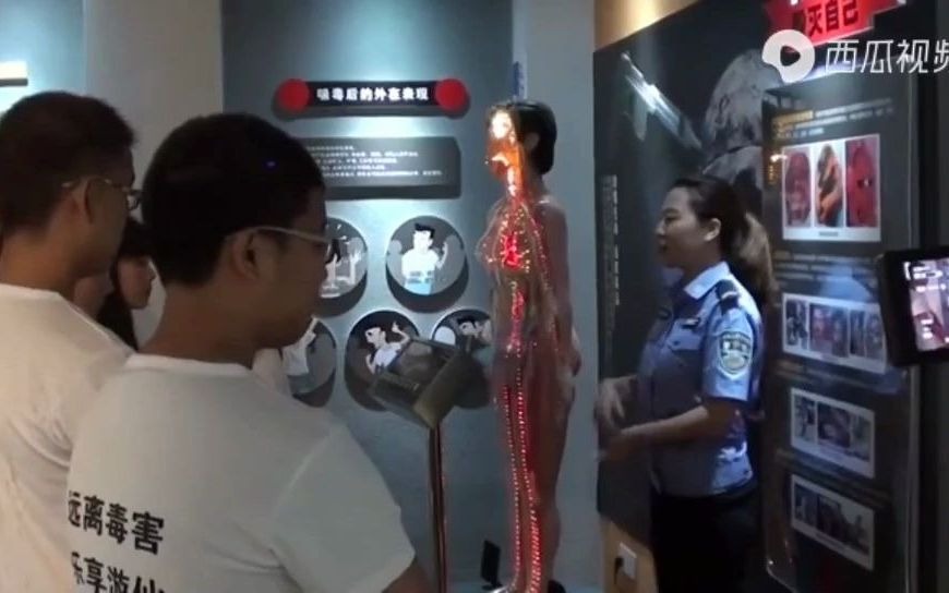 3D禁毒全息.3D全息模拟.全息禁毒成像.禁毒知识抢答系统.禁毒知识...