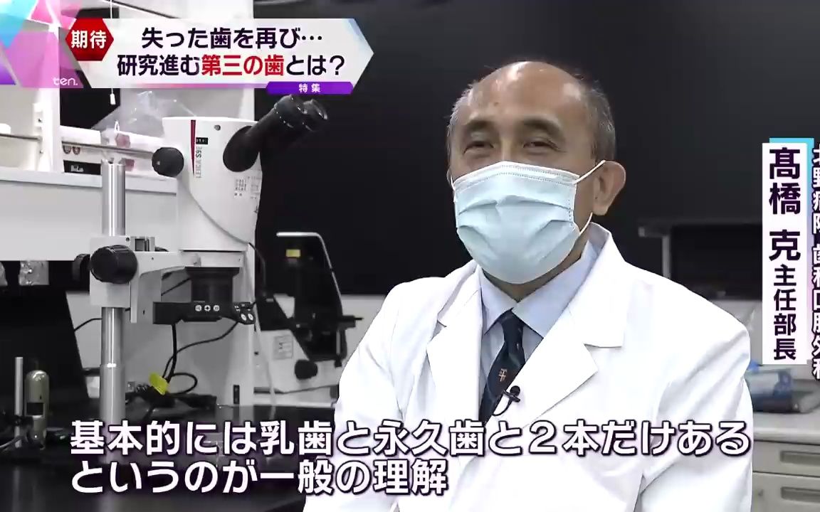 日本全牙再生和牙髓再生。