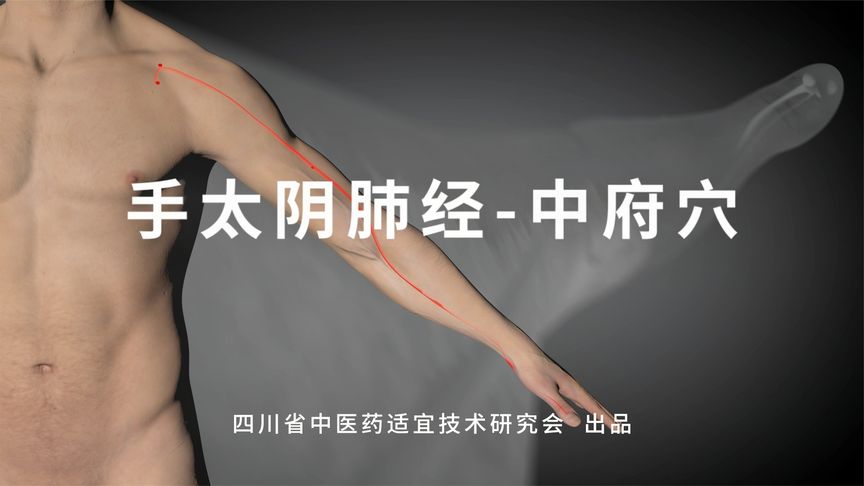 中府穴-手太阴肺经