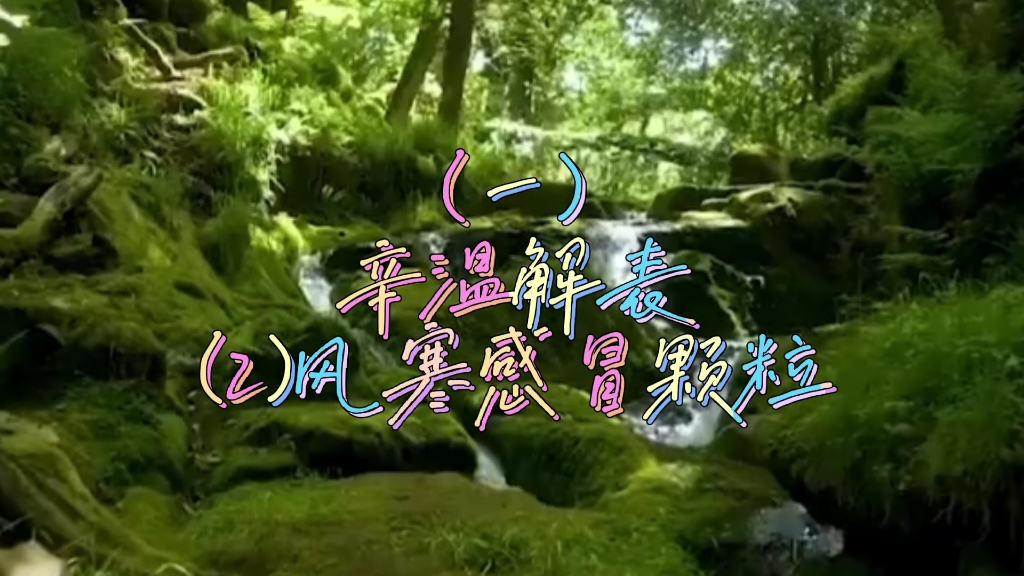 2.风寒感冒颗粒-感冒