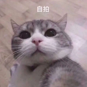 徜徉的不朽小丑 