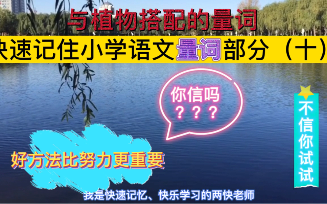 1分钟记住小学语文量词部分(十)与植物搭配的量词 你信吗?