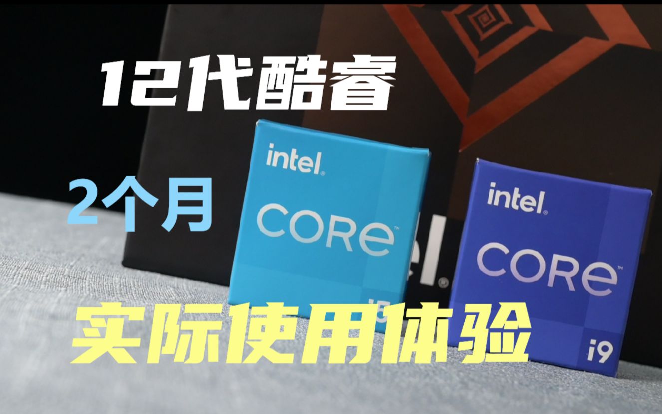 实测使用2个月的12代酷睿到底怎么样?到底是好物还是弟弟!