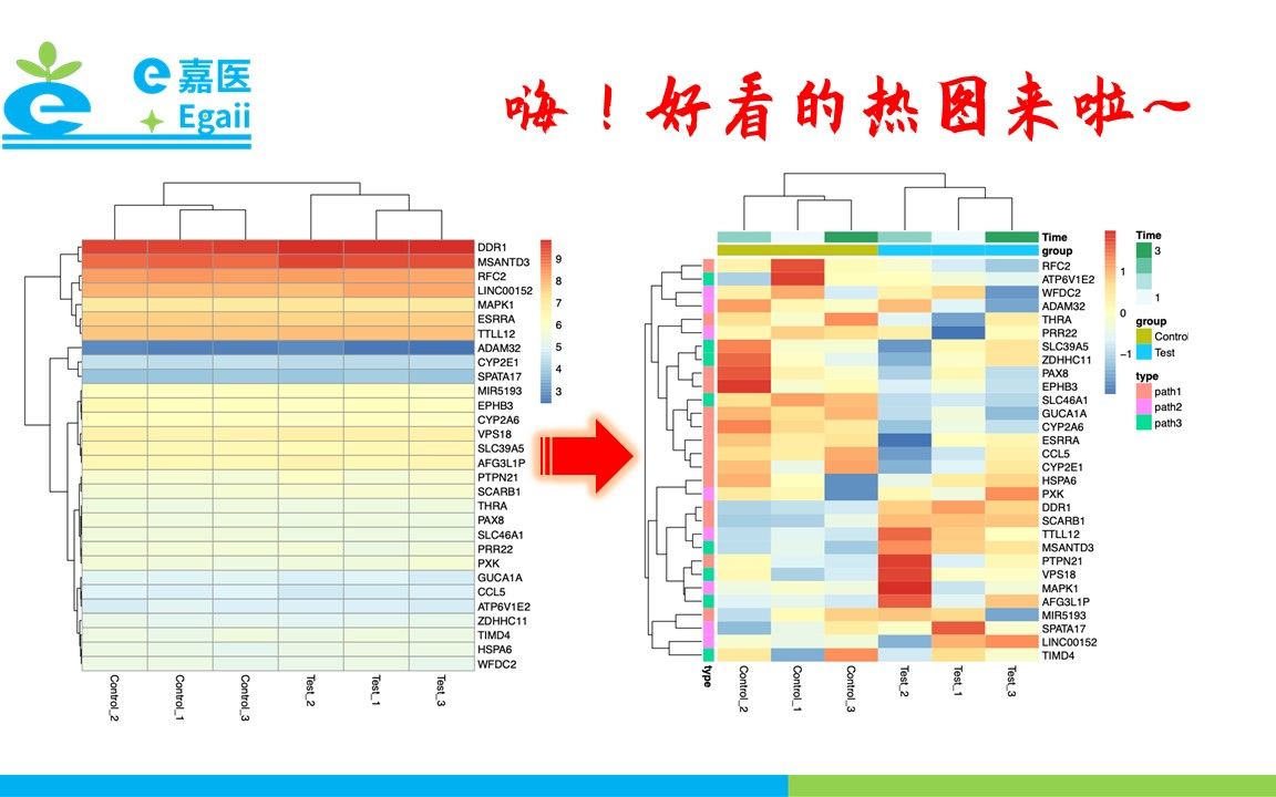 e嘉医 | R语言绘图小案例: 嗨!好看的热图来啦~