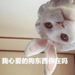 个性为辣椒的喷火龙 